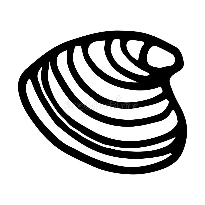 Sea Shell Doodle Style Vector Illustration Isolated on White Stock ...