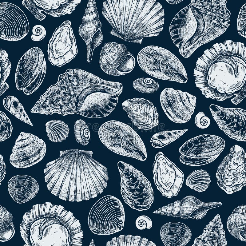 Seashell Elegant Seamless Pattern. Engraved Style Elements. Various ...