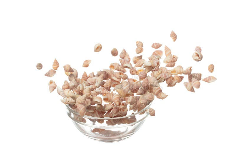 Seashell Fall Splashing in Air. Sea Shell Explosion Flying, Abstract ...