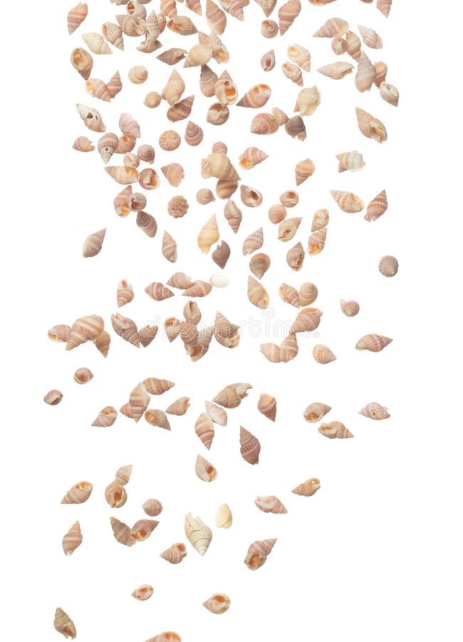 Seashell Fall Splashing in Air. Sea Shell Explosion Flying, Abstract ...
