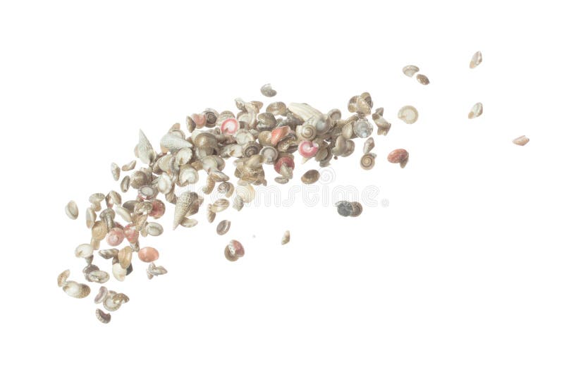 Seashell Fall Splashing in Air. Sea Shell Explosion Flying, Abstract ...