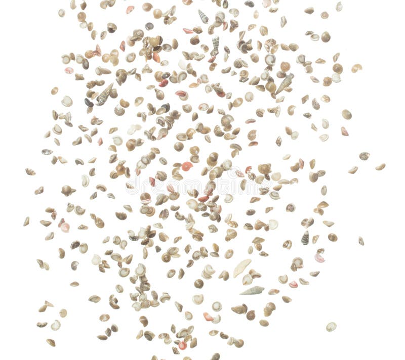 Seashell Fall Splashing in Air. Sea Shell Explosion Flying, Abstract ...