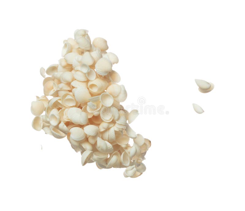 Seashell Fall Splashing in Air. Sea Shell Explosion Flying, Abstract ...