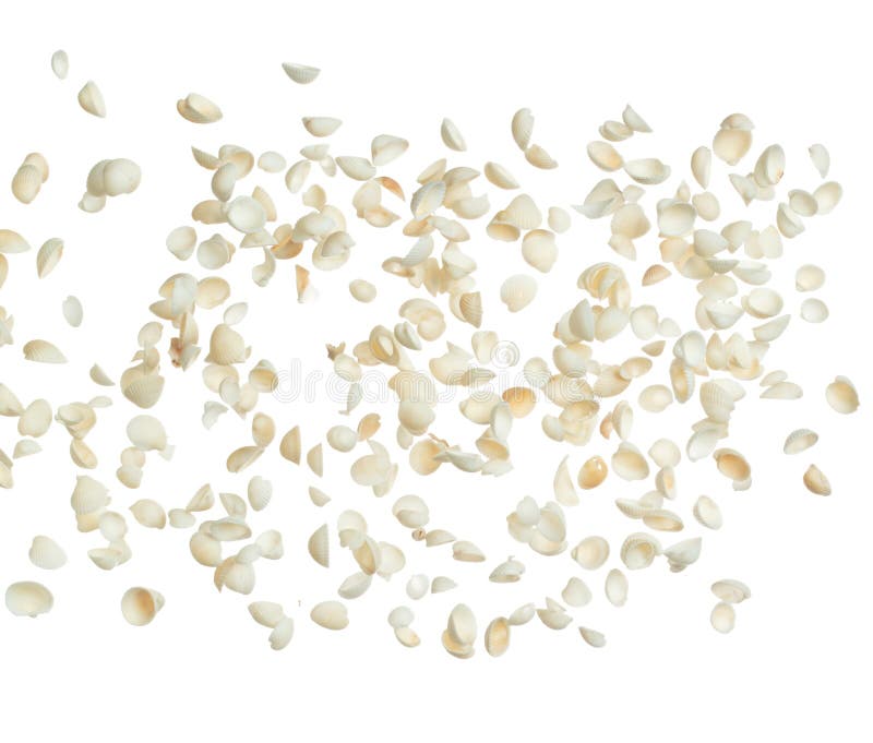 Seashell Fall Splashing in Air. Sea Shell Explosion Flying, Abstract ...