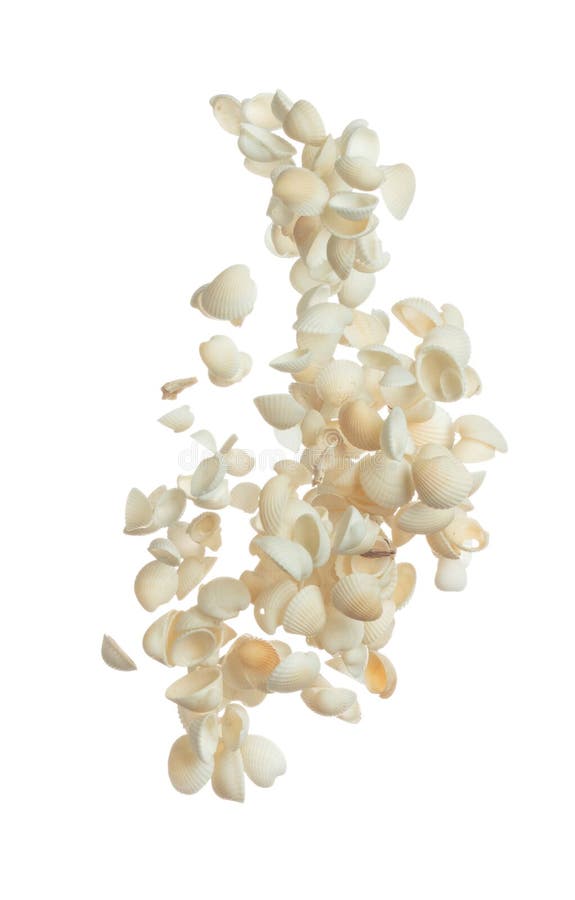 Seashell Fall Splashing in Air. Sea Shell Explosion Flying, Abstract ...