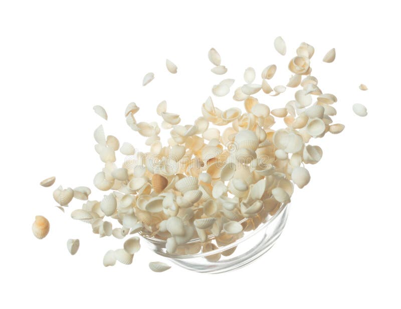 Seashell Fall Splashing in Air. Sea Shell Explosion Flying, Abstract ...