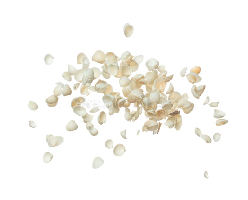 Seashell Fall Splashing in Air. Sea Shell Explosion Flying, Abstract ...