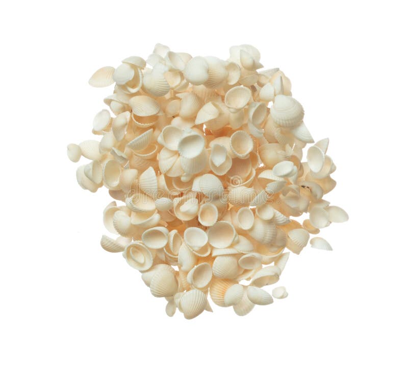 Seashell Fall Splashing in Air. Sea Shell Explosion Flying, Abstract ...