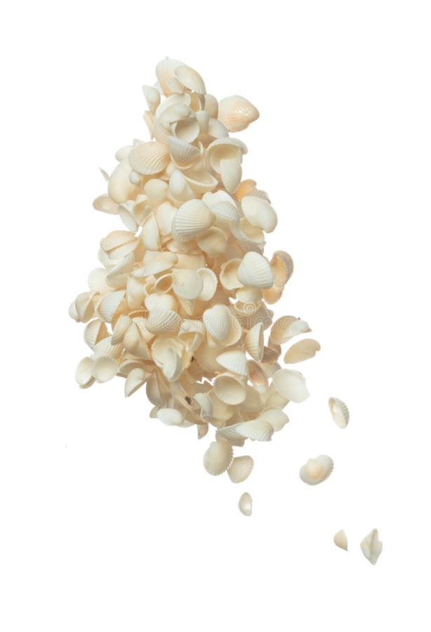 Seashell Fall Splashing in Air. Sea Shell Explosion Flying, Abstract ...