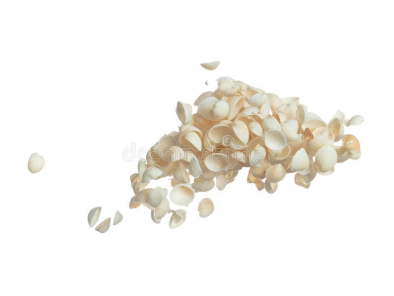 Seashell Fall Splashing in Air. Sea Shell Explosion Flying, Abstract ...