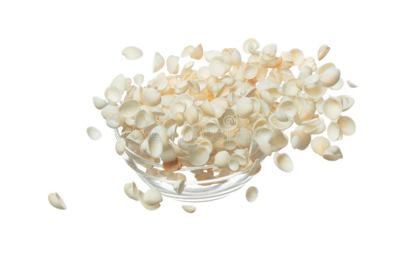 Seashell Fall Splashing in Air. Sea Shell Explosion Flying, Abstract ...