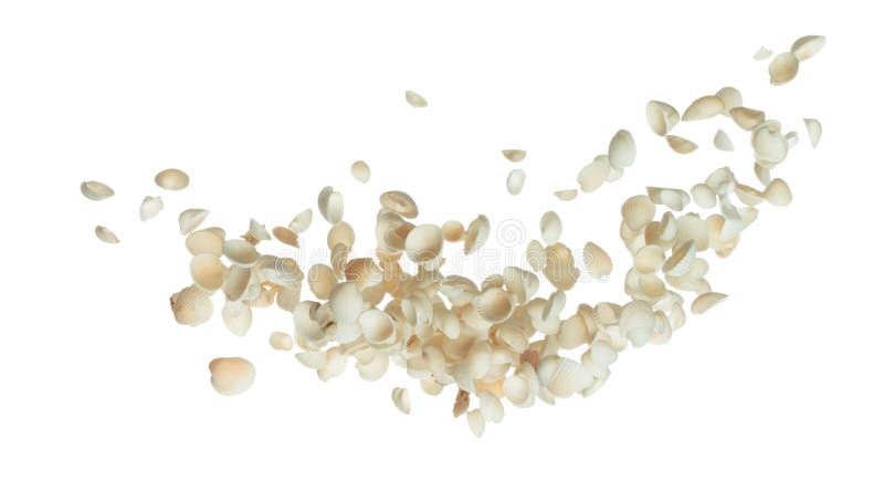 Seashell Fall Splashing in Air. Sea Shell Explosion Flying, Abstract ...