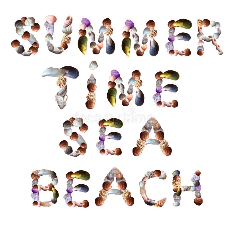 Seashell Font for Summer Holiday Stock Illustration - Illustration of ...