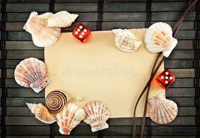 Seashell frame. stock photo. Image of decoration, composition - 25341976
