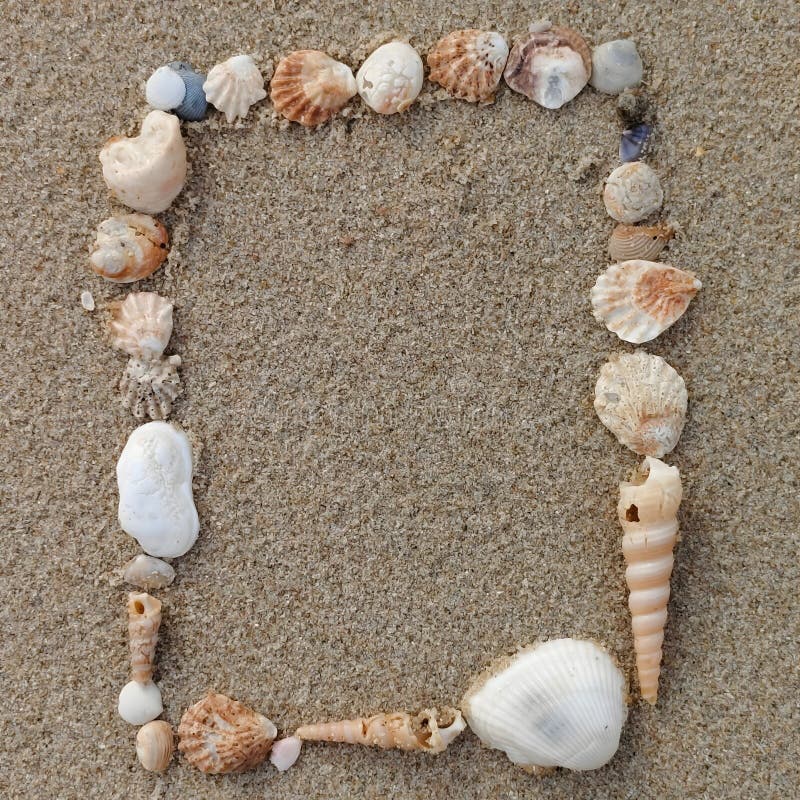 369 Christmas Sand Border Stock Photos - Free & Royalty-Free Stock ...