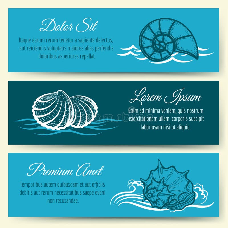 Seaside Seashell Banners stock vector. Illustration of ocean - 5690792