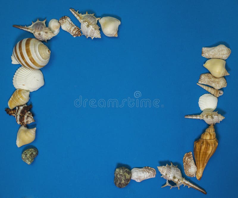 Seashell Frame on a Blue Background, with Free Space for Your Text ...