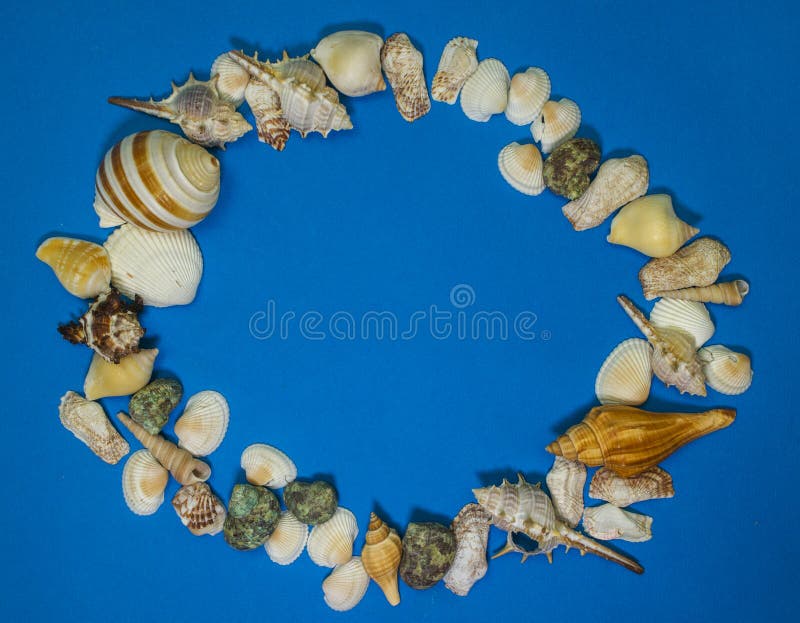 Seashell Frame on a Blue Background, with Free Space for Your Text ...