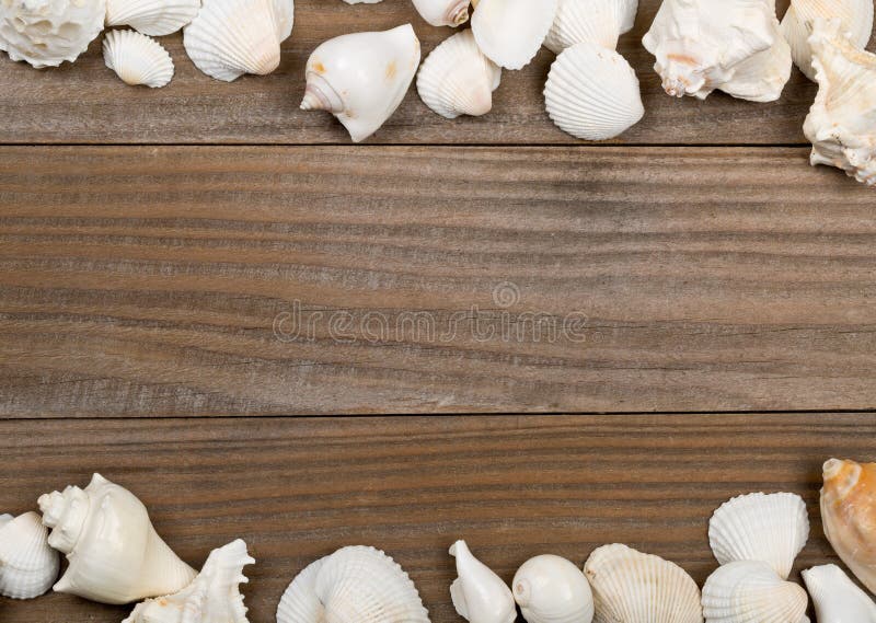 Seashell Frame on Brown Wooden Boards Stock Image - Image of pattern ...