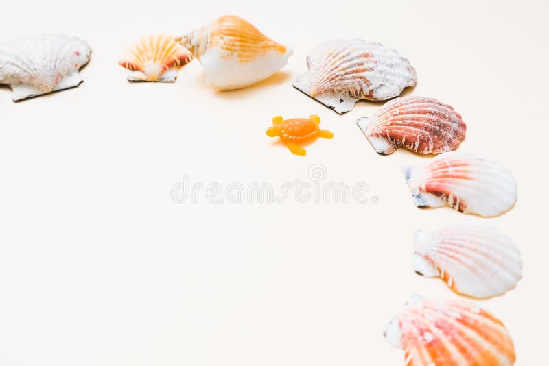 Seashell Frame with Place for Text on a Light Background Stock Photo ...