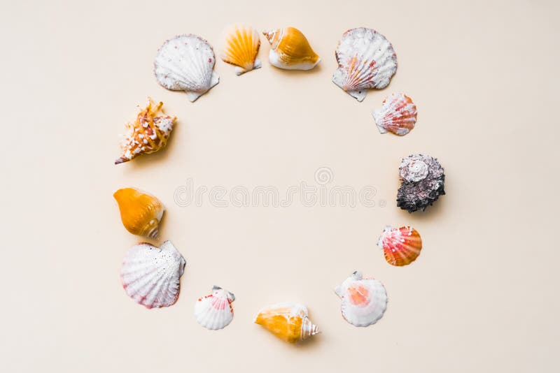 Seashell Frame with Place for Text on a Light Background Stock Photo ...