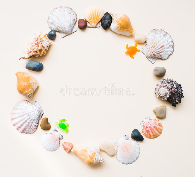 Seashell Frame with Place for Text on a Light Background Stock Photo ...