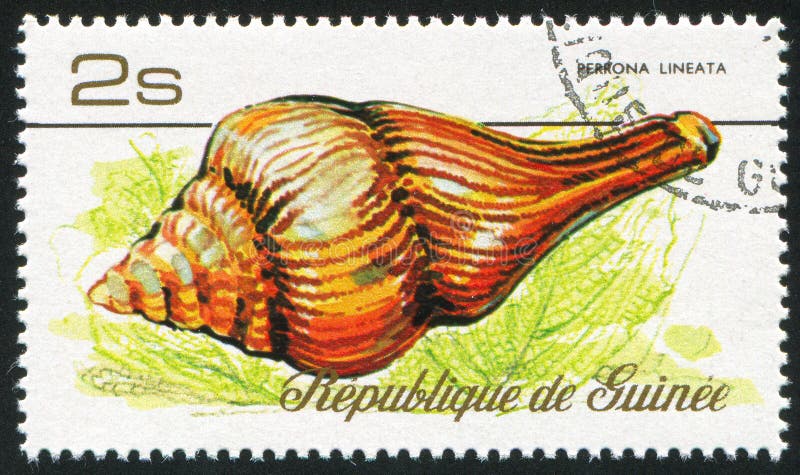 Seashell editorial photo. Image of stamp, postcard, environment - 231615246