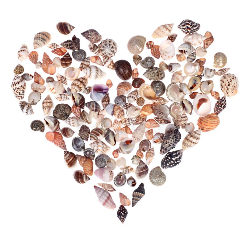 Seashell heart stock image. Image of birthday, idea, anniversary - 1849997
