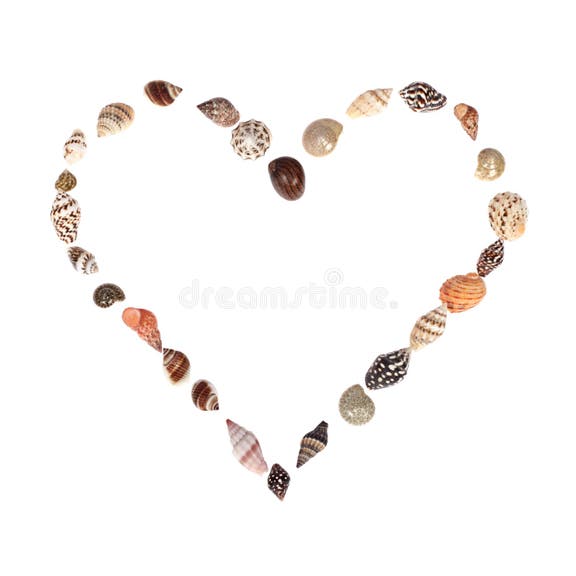 Seashell heart stock image. Image of birthday, idea, anniversary - 1849997