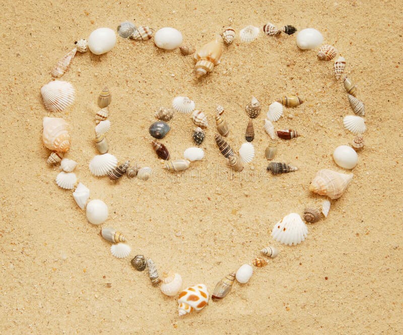 Seashell heart stock photo. Image of emotion, conch, shell - 19816452