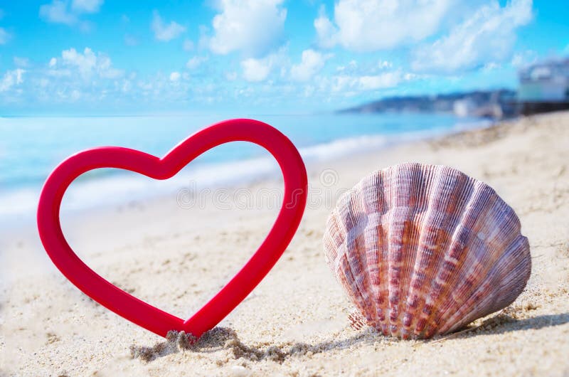 Seashell with Heart Shape by the Ocean Stock Photo - Image of tropical ...