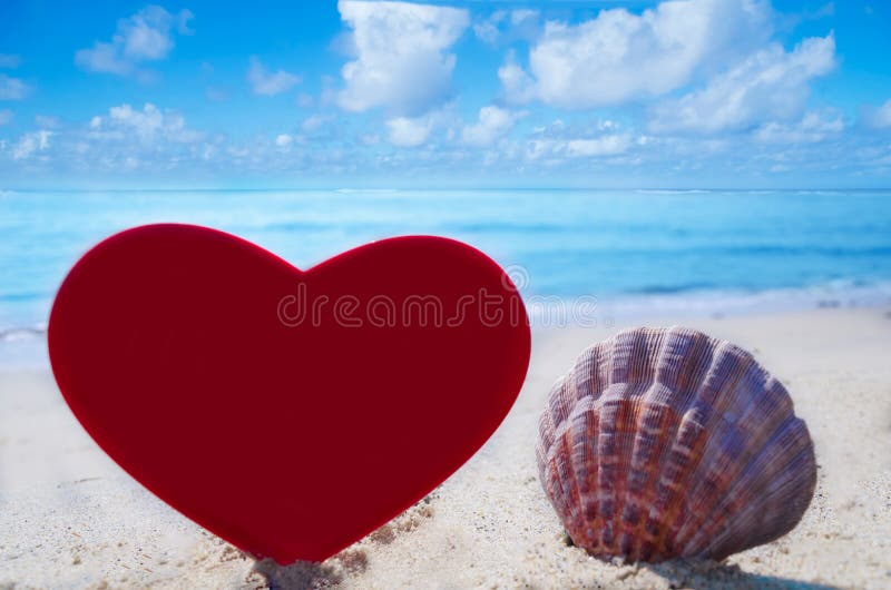 Seashell with Heart Shape by the Ocean Stock Photo - Image of tropical ...