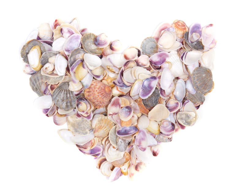 Seashell heart stock image. Image of birthday, idea, anniversary - 1849997