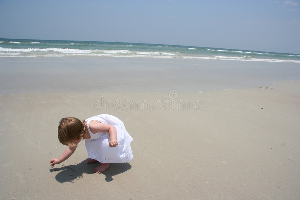 Seashell hunt stock photo. Image of vacation, sand, shell - 523562