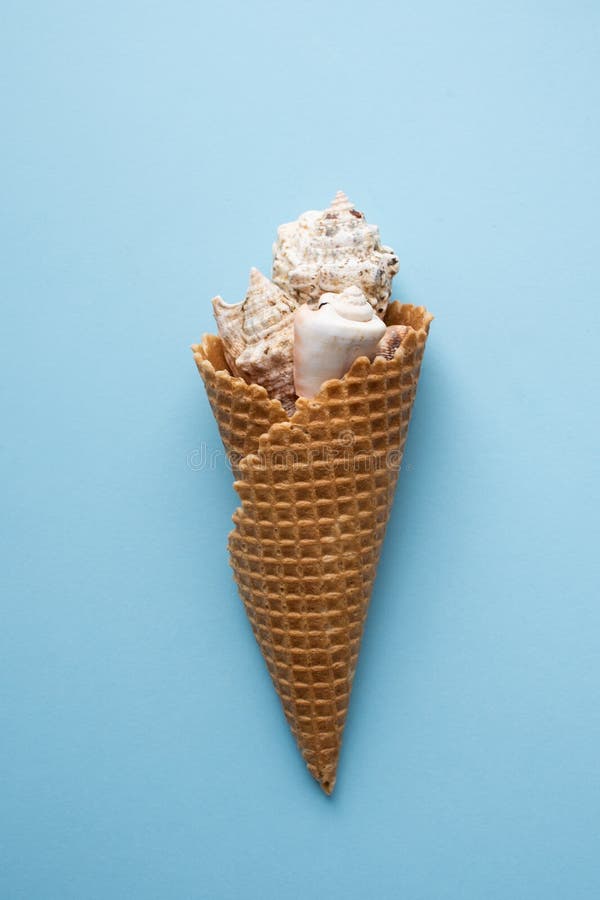 Seashell and Ice Cream Cone Stock Image - Image of collection, cone ...