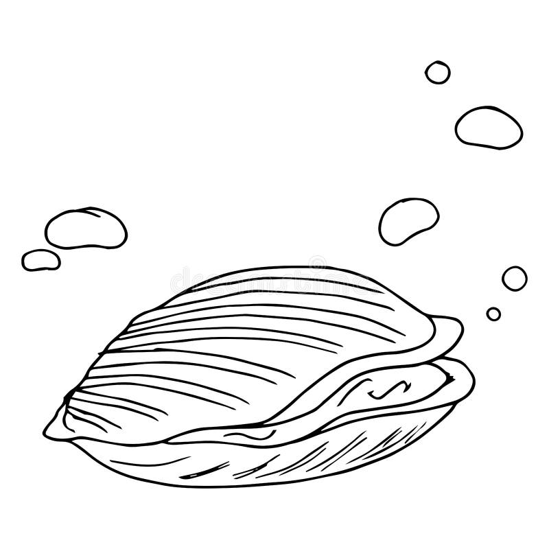 Seashell Pearl Coloring Stock Illustrations – 136 Seashell Pearl ...