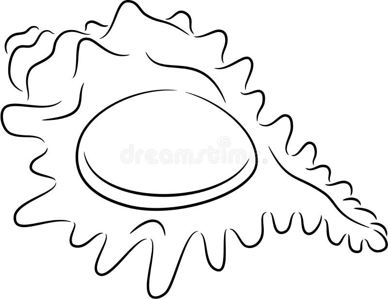 Seashell stock vector. Illustration of isolated, black - 32972508
