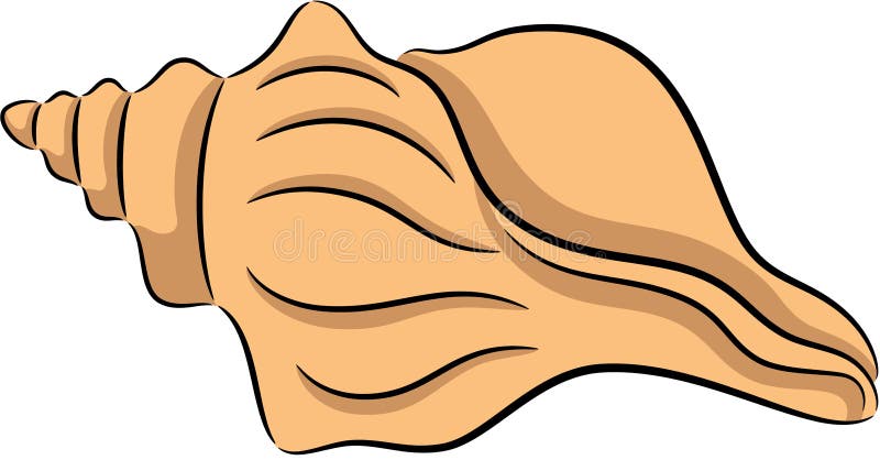 Seashell stock vector. Illustration of isolated, black - 32972508