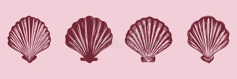 Seashell Illustrations Silhouette Set. Nautical and Coastal Theme ...