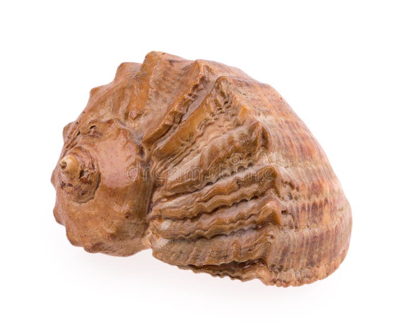 Skeleton Key on a White Background Stock Photo - Image of objects ...