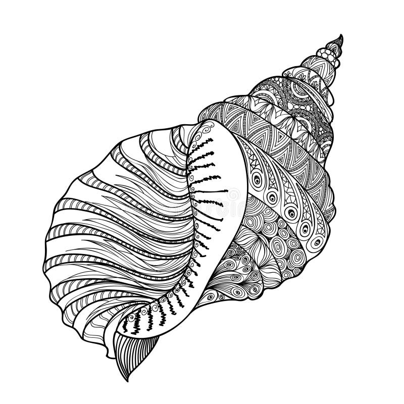 Seashell Nautilus. Sea Shell Set Engraving Illustration is Stock ...