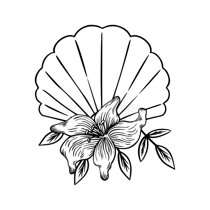 Seashell Thin Line Icon, Animal and Underwater, Shell Sign Vector ...