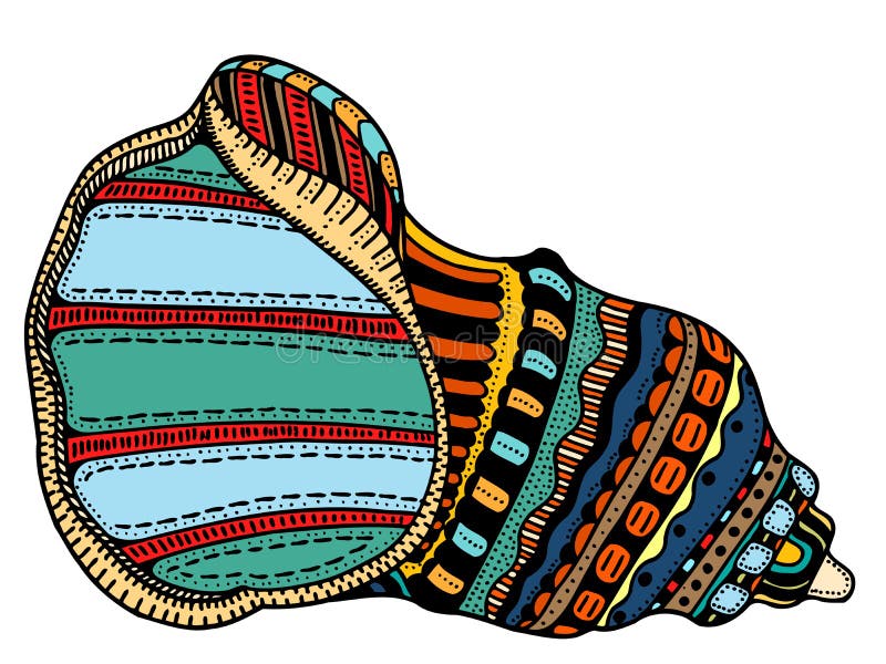 Seashell line art stock vector. Illustration of animal - 67891035