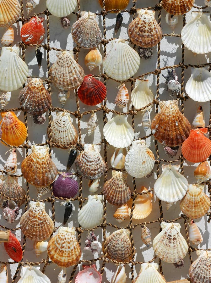 Fishing net with shells stock photo. Image of fishing - 6750084