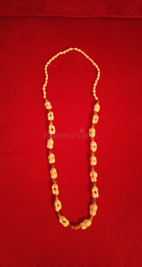 Seashell neckless stock photo. Image of simple, people - 155588710