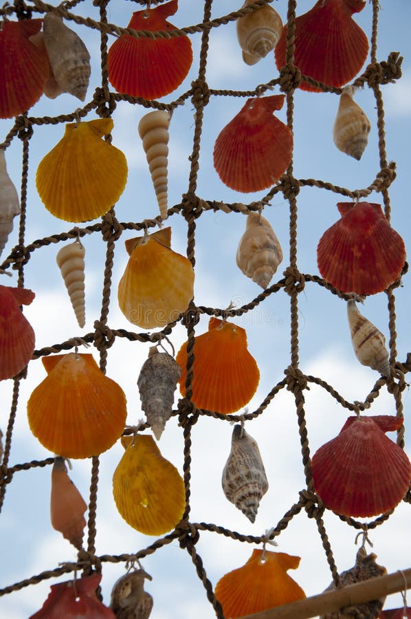 Seashell Net Sky Background. Shell Net Hanging Outdoors. Decorative Net ...