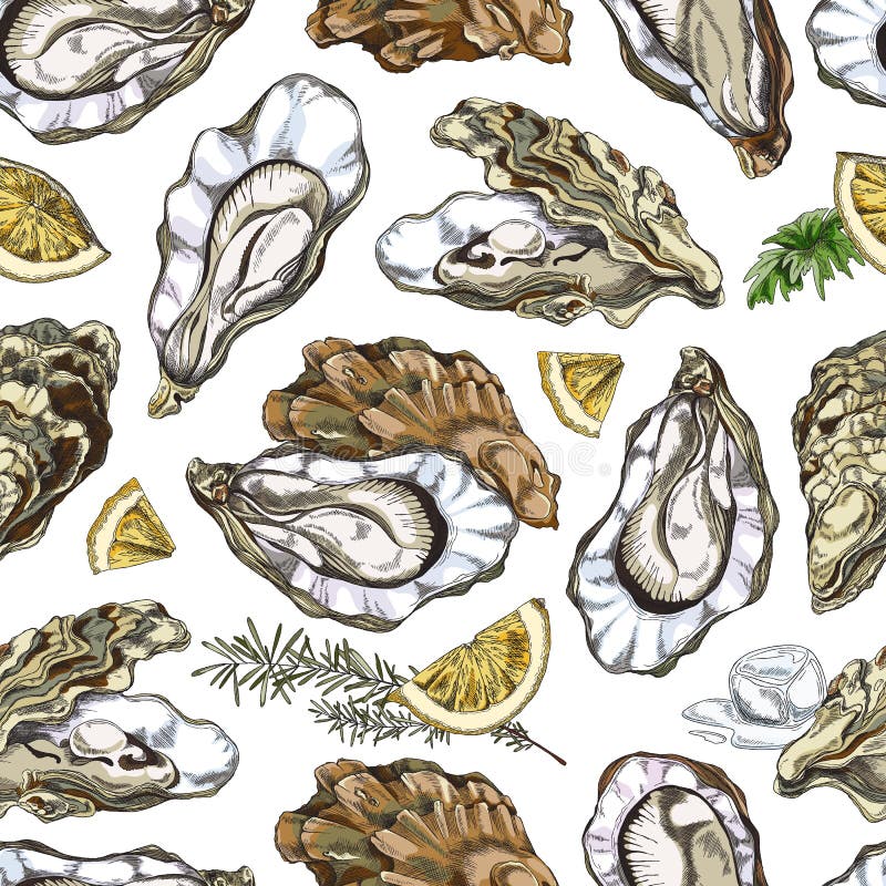 Seashell with Oyster Inside in Hand Drawn Colored Sketch Style, Vector ...