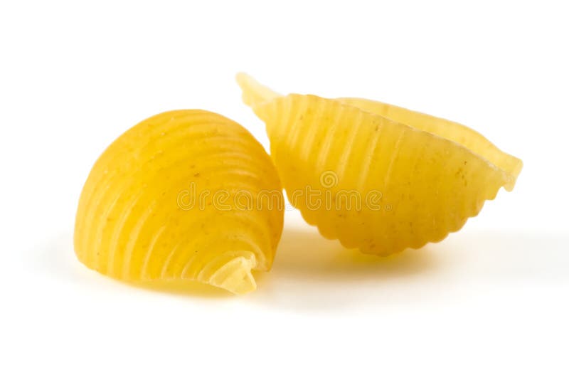 Seashell pasta stock photo. Image of healthy, large - 216614438