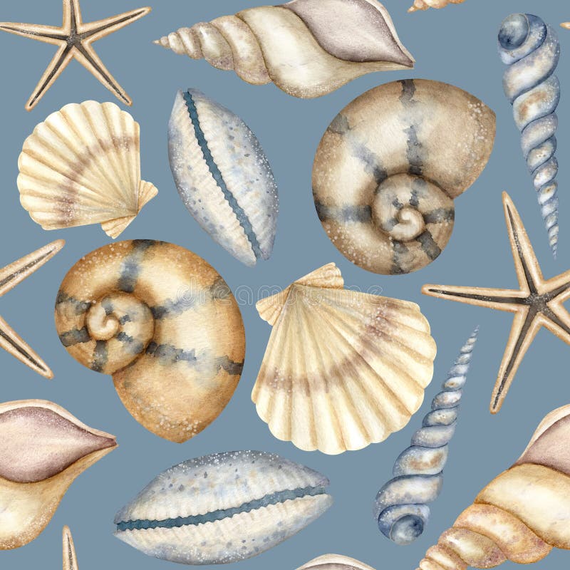Seamless Seashell Pattern with Starfish and Scallop. Hand Drawn ...