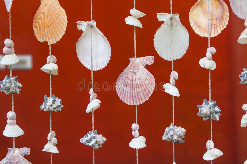 Seashell pattern curtain stock photo. Image of green - 49239582